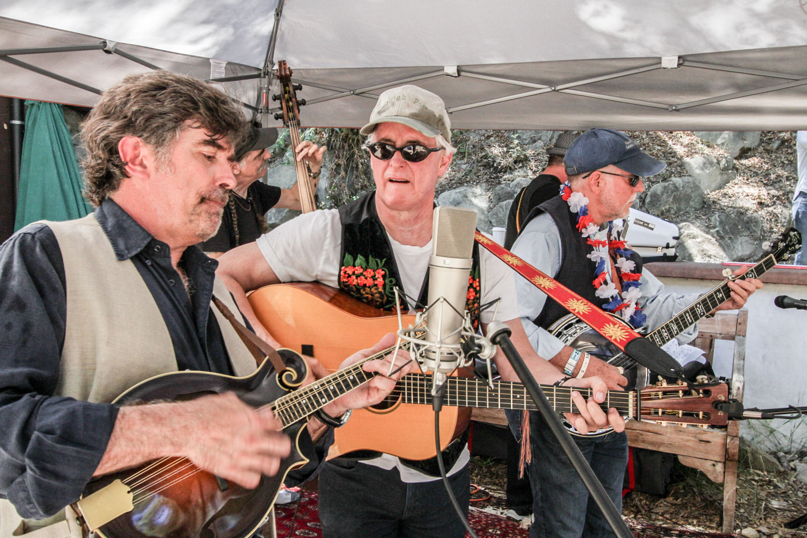 Rattlesnakes Retrospective - Scott Hillman Photography